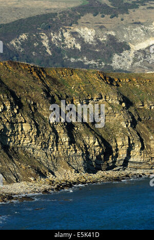 A view of Durlston cliff Dorset on the Jurassic coast UK Stock Photo ...