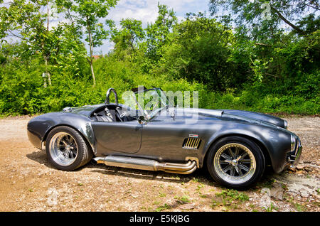 British Classic AC Shelby Cobra vintage muscle car, Roadster car and ...