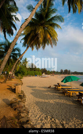 India, Goa, Patnem Beach Stock Photo - Alamy