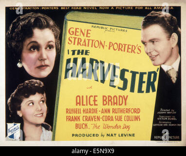 THE HARVESTER, from left, Alice Brady, Joyce Compton, 1936 Stock Photo ...