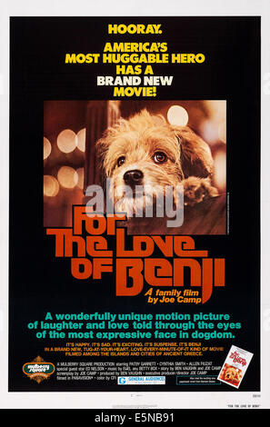 FOR THE LOVE OF BENJI, Benji, 1977 Stock Photo - Alamy
