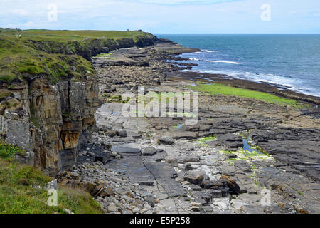 Coastal landscape with erosional features on Creevy Shore Walk coastal ...
