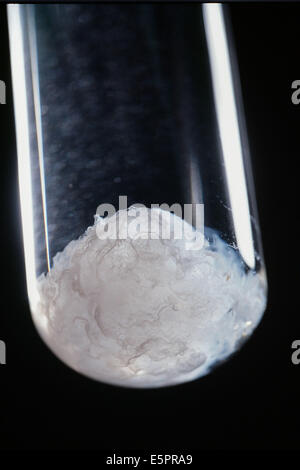 Genethon research laboratory, Evry, France. Solution of purified DNA ...