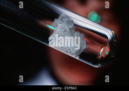 Genethon research laboratory, Evry, France. Solution of purified DNA ...