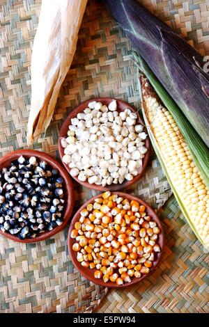 Different varieties (mutations) of corn Stock Photo - Alamy