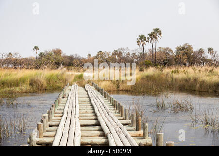 A wooden bridge in the Okavango delta leads across water to the Stock ...