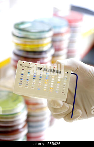 Analytical Profile Index Stock Photo - Alamy