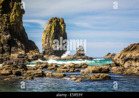The sea stacks of Canon Beach, Oregon, USA Stock Photo - Alamy