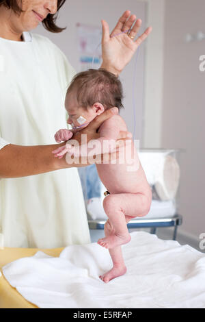 Pediatrician examining a newborn baby (stepping or walking reflex ...