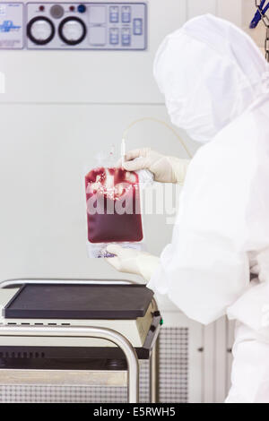 Technician preparing a hematopoietic stem cells bag , Cell Therapy Unit ...