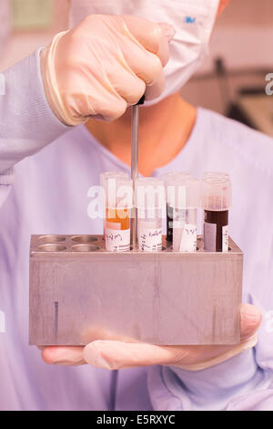 Collection of oocyte : tube of follicular fluid containing oocytes ...