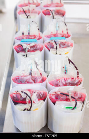 Blood bags, donor blood processing, Army Blood Transfusion Service ...