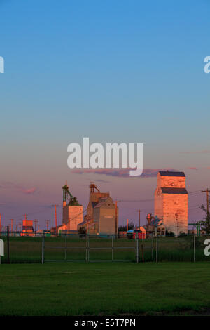 Rycroft, Alberta, Canada with blue sky and yellow, ripening canola or ...