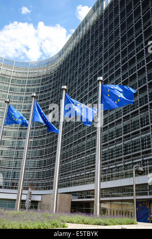 flags of the European Union in front of a building Stock Photo - Alamy