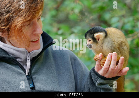 SQUIRREL MONKEY HAND Stock Photo - Alamy