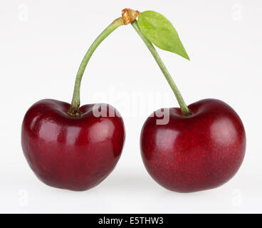 Pair of Cherries Stock Photo - Alamy