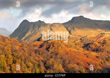 Landscape photo at Tarn Hows from the top of the rock taken at sunset ...