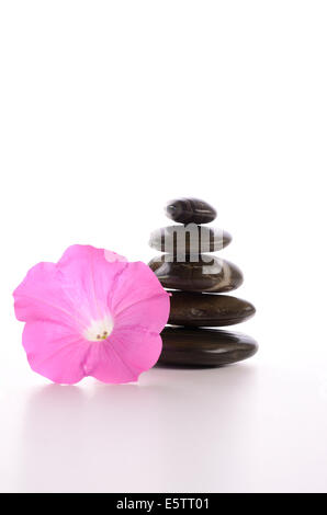 Balance Zen stones and pink flower on wood with green bokeh background ...