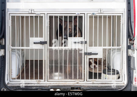 Dog Section van for police dogs of the UK Metropolitan Police. London ...