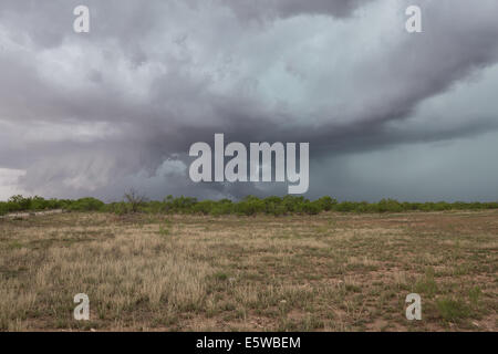A power supercell thunderstorm with a rain wrapped EF-1 tornado bears ...