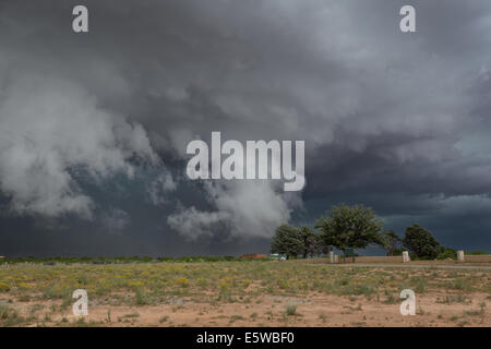 A power supercell thunderstorm with a rain wrapped EF-1 tornado bears ...