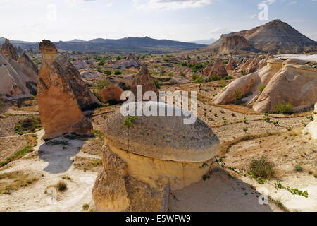 Cappadocia Pasabagi Fairy Chimneys view Stock Photo - Alamy