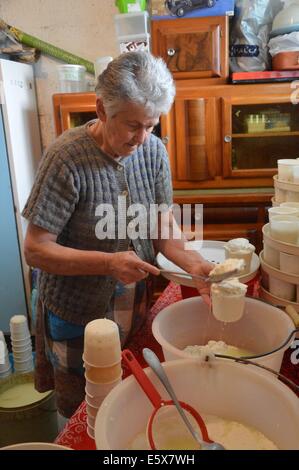 Jeanette making goat cheese on her farm in the Ardeche, southern France ...