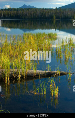 Little Lava Lake, Cascade Lakes National Scenic Byway, Deschutes ...