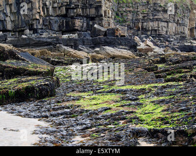 Cliff with horizontally bedded strata and a wave cut platform at the ...