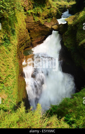 Hell's Falls or Devil waterfall at Pokhara in Annapurna Valley Nepal ...
