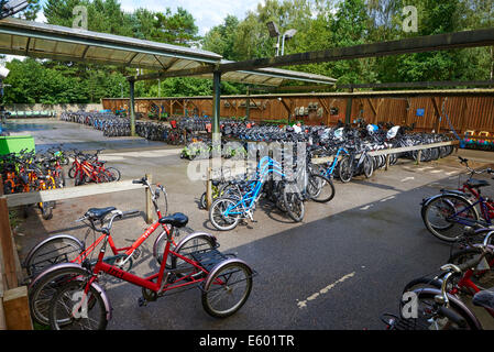 Cycle Hire Centre, Center Parcs Sherwood Forest UK Stock Photo - Alamy