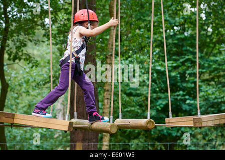 Aerial Tree Trekking Center Parcs Sherwood Forest UK Stock Photo - Alamy