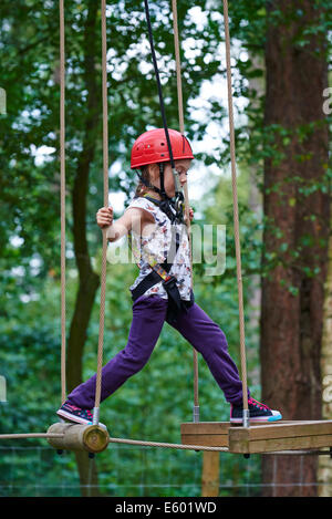 Aerial Tree Trekking Center Parcs Sherwood Forest UK Stock Photo ...