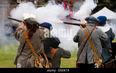 'Sealed Knot' Musketeers 17th century English Civil War period; Massed ...