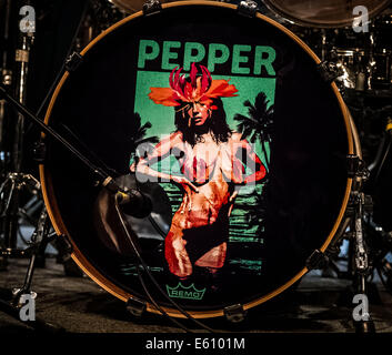 Detroit, MI, USA. 19th July, 2014. YESOD WILLIAMS of the band Pepper ...