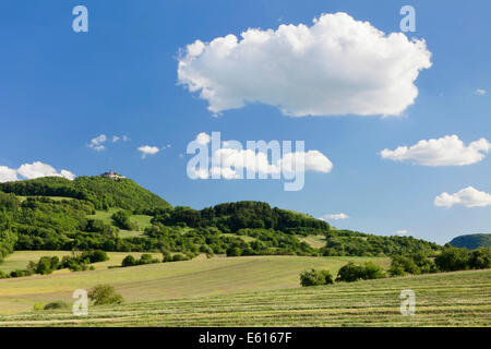 Castle Teck, Baden Wurttemberg, Germany Stock Photo: 111511395 - Alamy