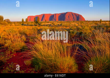 Ayers Rock, Uluru, in evening sun, Northern Territory, Australia Stock ...
