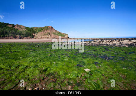 Johnny Flintons Harbour and Osgodby Point (Knipe Point) in Cayton Bay ...