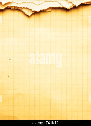 Page of notebook, put your own tex here Stock Photo - Alamy