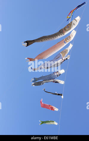 traditional carp kites (koi nobori) flying on annual boys day, 5th May ...