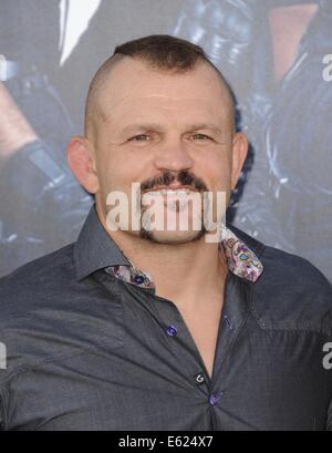 LOS ANGELES - AUG 11: Chuck Liddell at the "Expendables 3" Premiere at ...