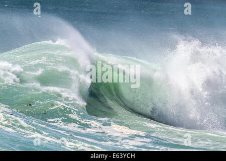 Picture of Perfect Ocean Wave. Indian Ocean Stock Photo - Alamy