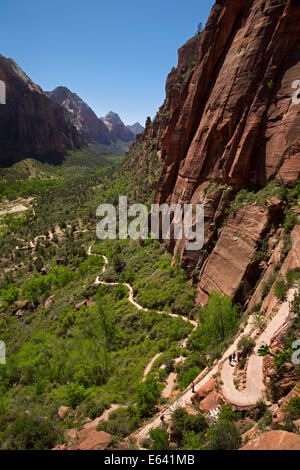 Hikers climbing up zigzag track out of Zion Canyon, up West Rim Trail ...
