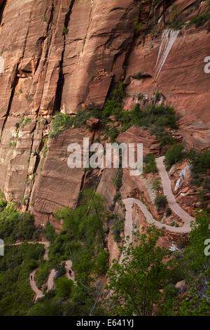 Hikers climbing up zigzag track out of Zion Canyon, up West Rim Trail ...