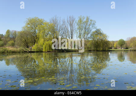 Fishing and wildfowl lake at Moses Gate Country Park, Farnworth, a ...