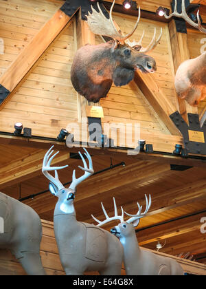 Mounts, Scheels Sporting Goods Store, Great Falls, Montana, USA Stock ...