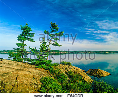 Windswept pine tree at Georgian Bay Islands National Park Stock Photo ...
