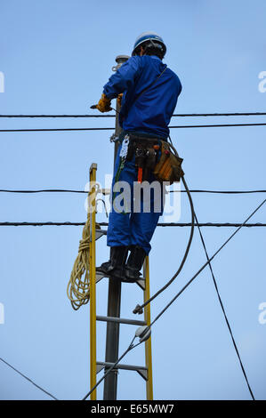 Cable lineman climbing a ladder to repair transmission line Stock Photo ...