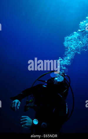 Diver looking upwards Stock Photo - Alamy