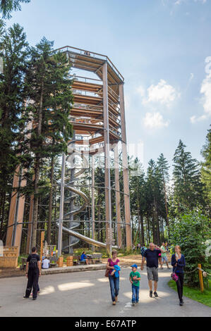 Lipno Treetop Walkway Stock Photo - Alamy